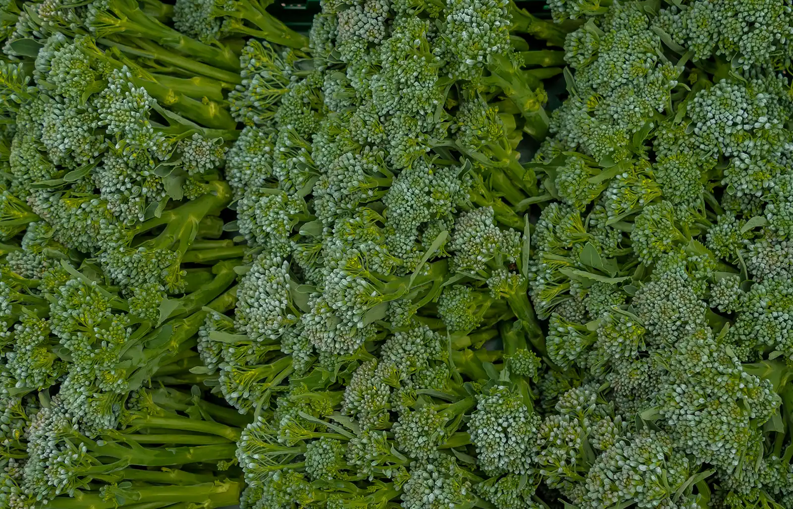 Trade | Bimi® Baby Broccoli | Broccoli But Better